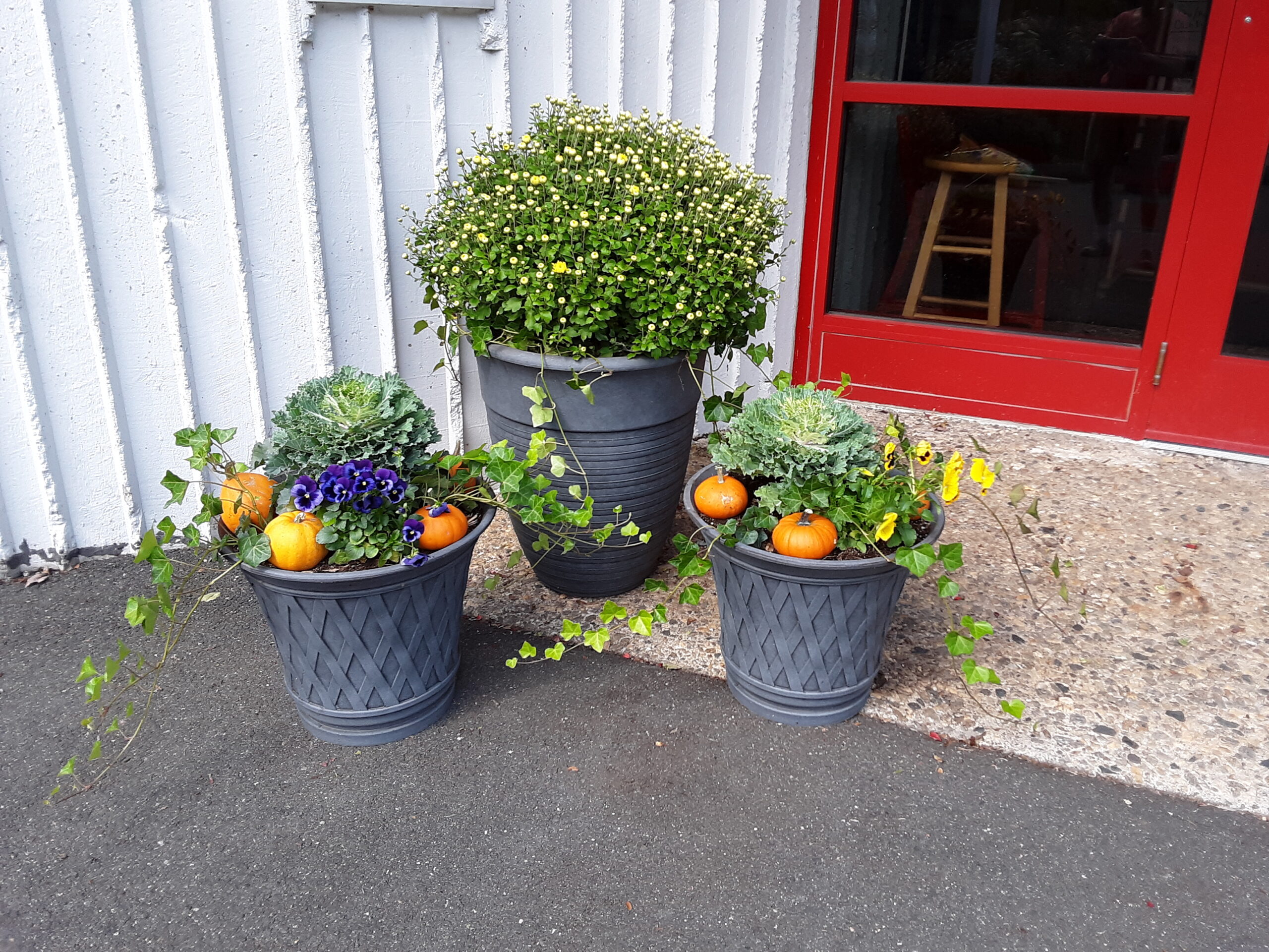 Friends of Wolcott Library – Wolcott Public Library