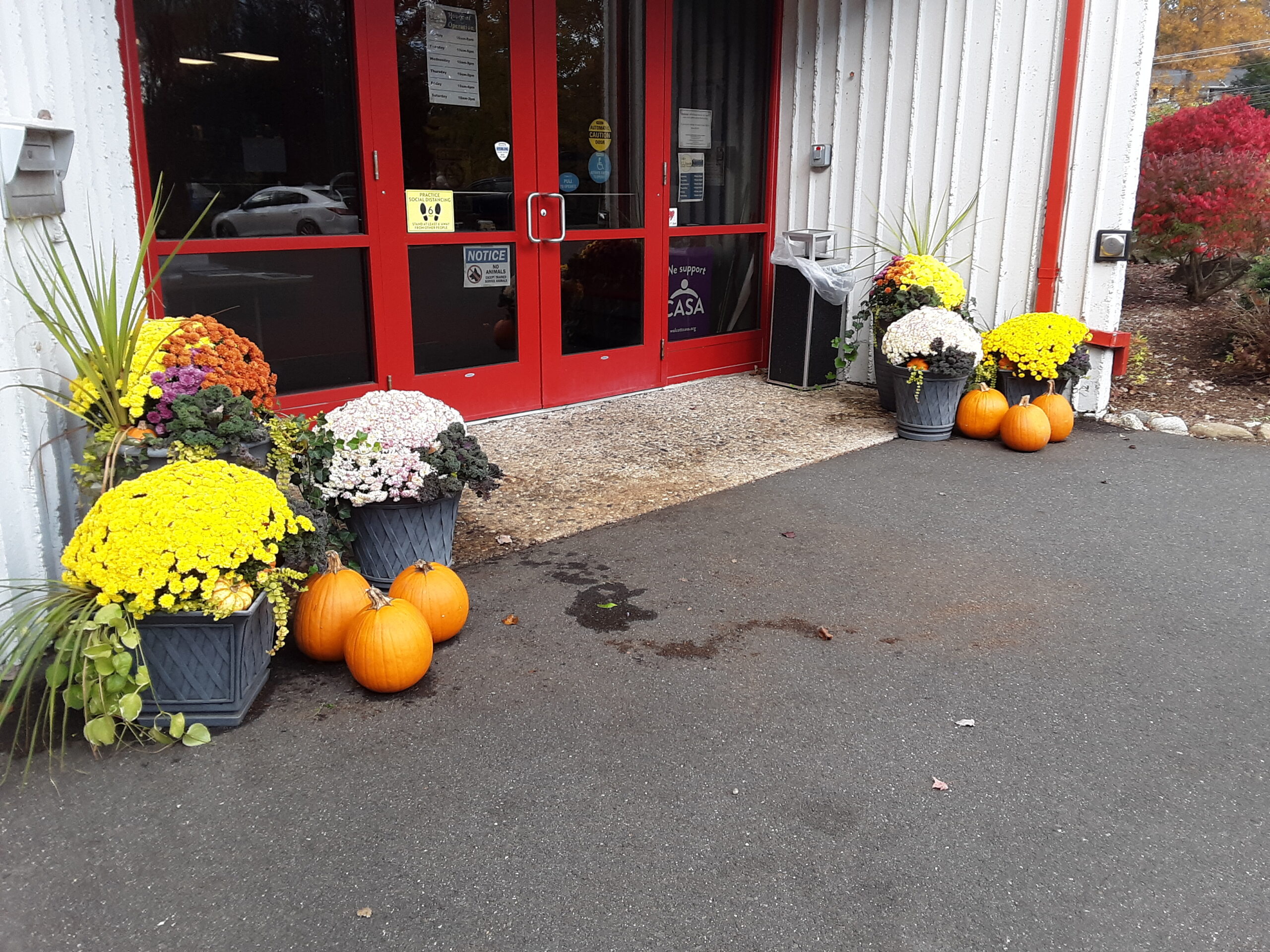 Friends of Wolcott Library – Wolcott Public Library
